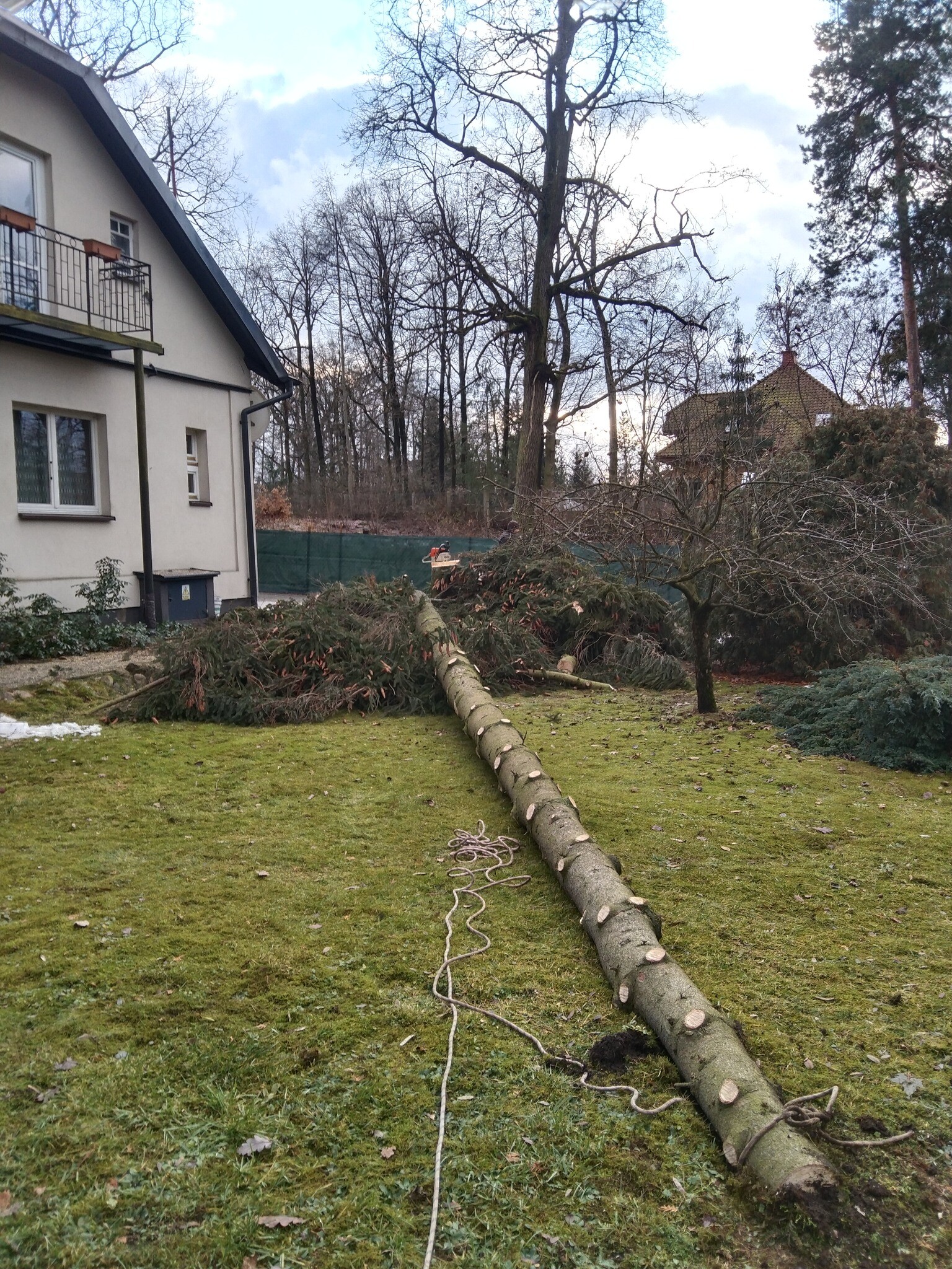 Wycinka drzewa na działce w 2023 roku-porady i procedury-Puławy Wycinka drzewa na działce w 2023 roku-porady i procedury-Puławy